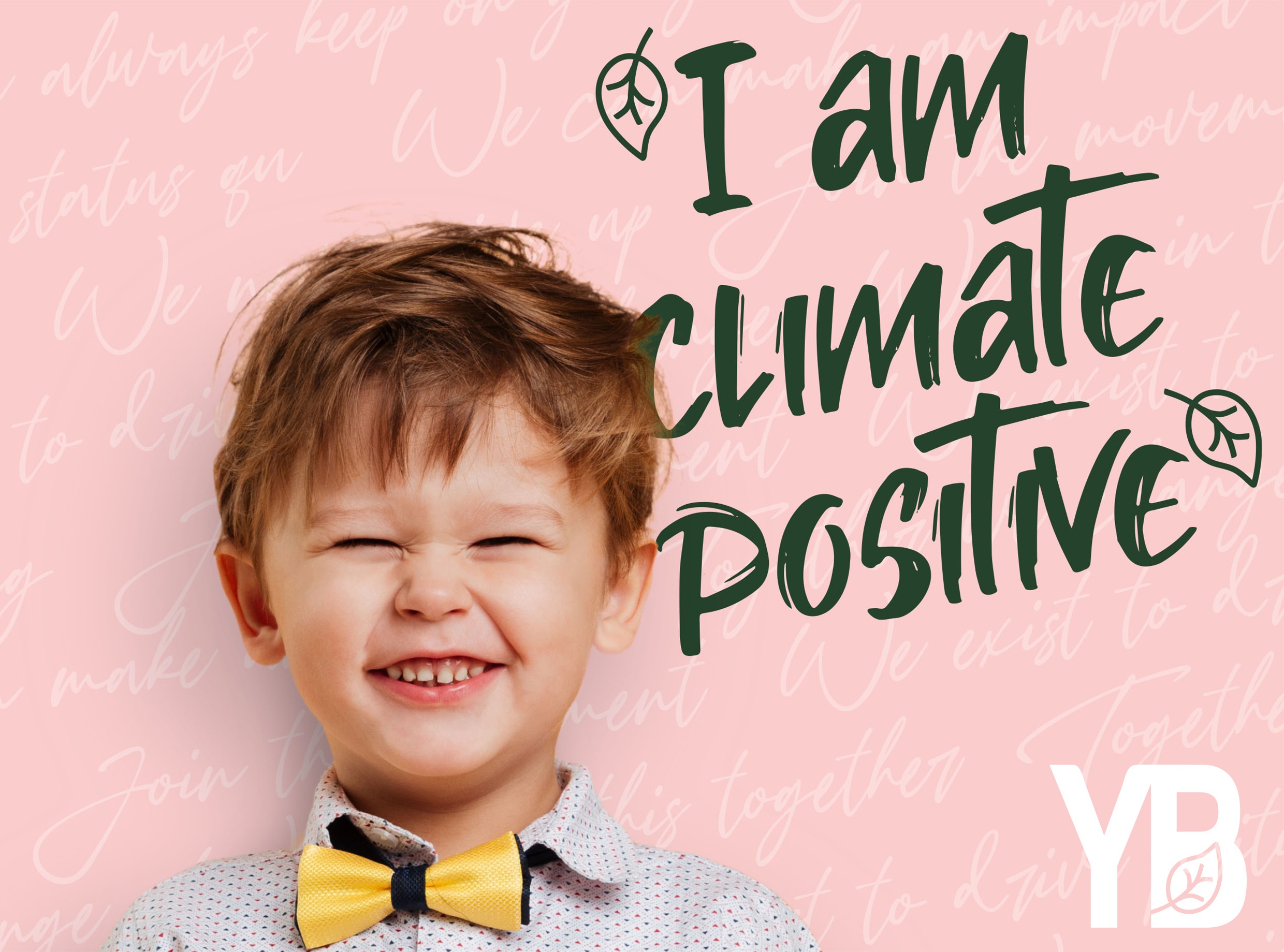 YB haalt eerste €900.000 groeigeld op om internationale groei te ...