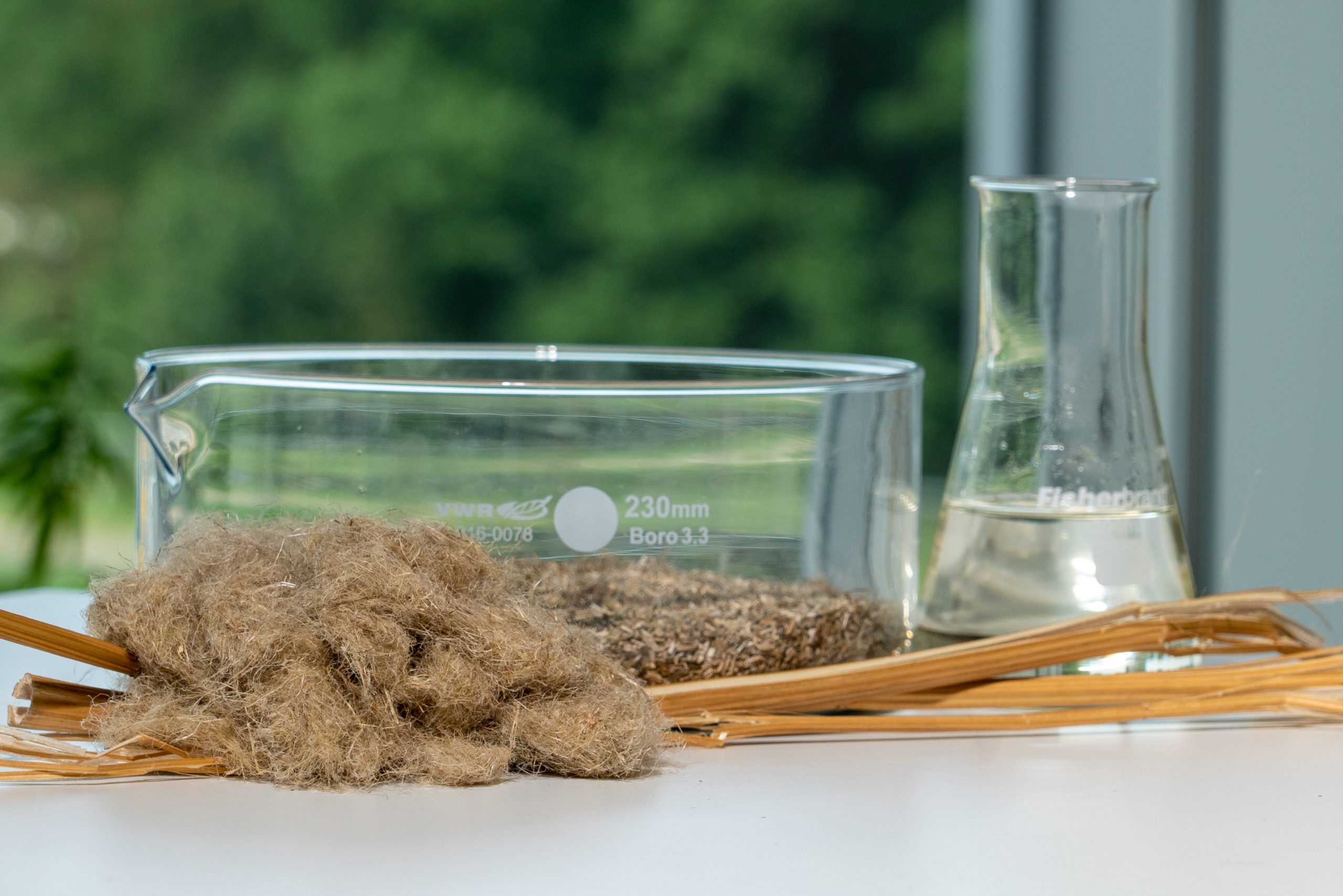 ‘Invest International’ investeert in Plantics om internationale ...